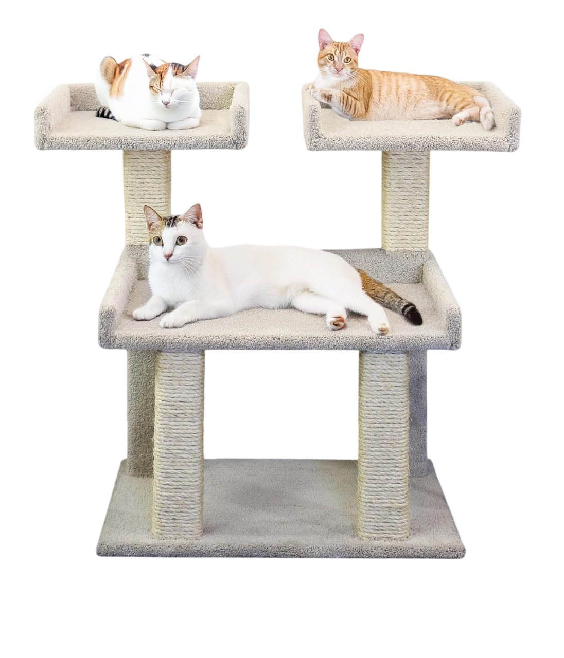 Prestige Cat Trees: Towers & Houses for Large Cats & Maine Coons